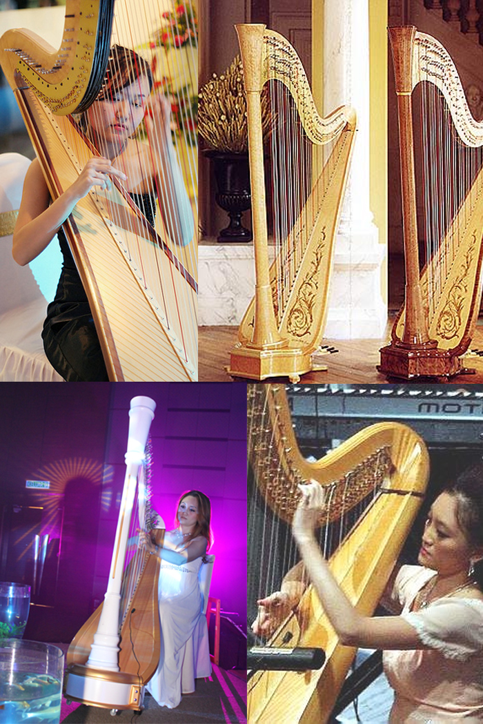 Best Entertainment Organizer malaysia | Best Entertainment Planner Malaysia